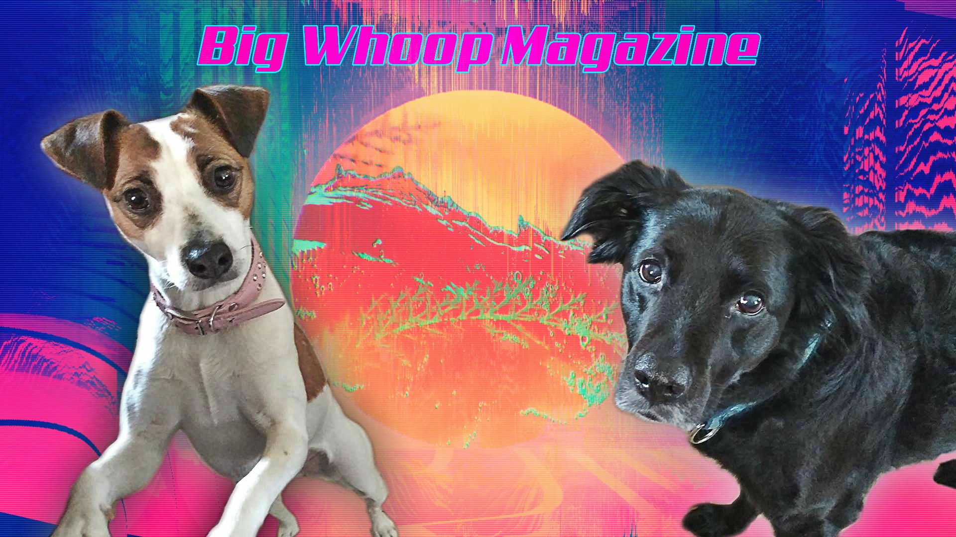 Big Whoop Magazine